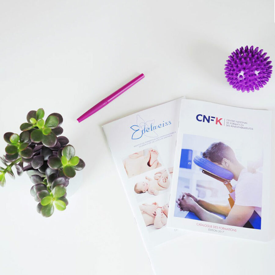 CNFK / Edelweiss - Bérengère Denfert Graphiste Freelance